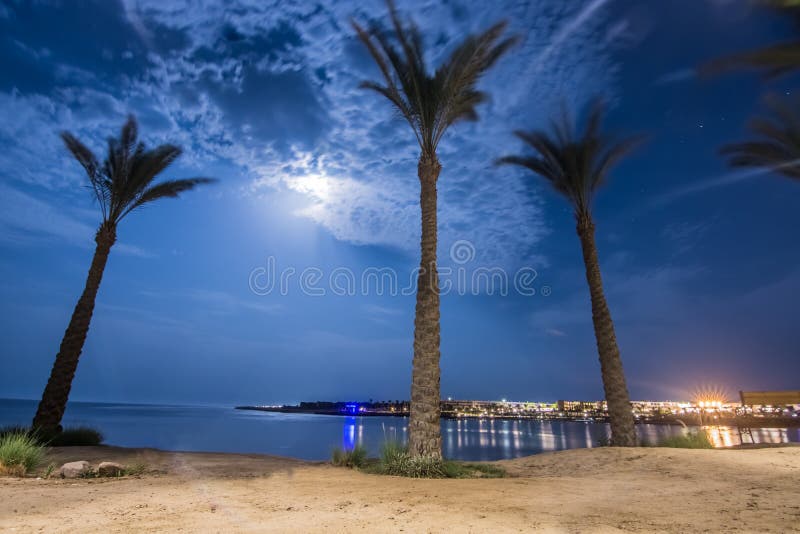 Bright Moon with Clouds at the Beach with Palm Trees in Egypt Stock ...