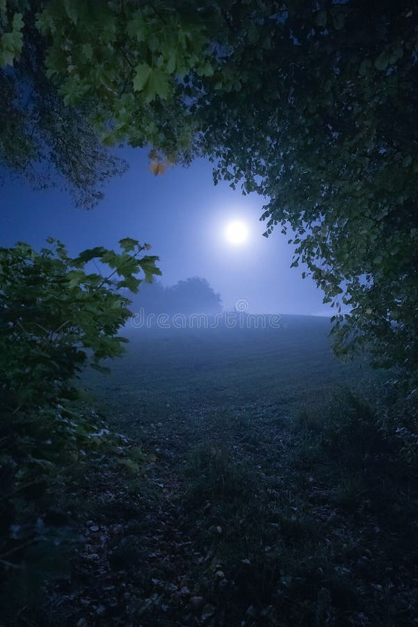 Bright Moon Light in a Hill with Trees Around Stock Photo - Image of ...