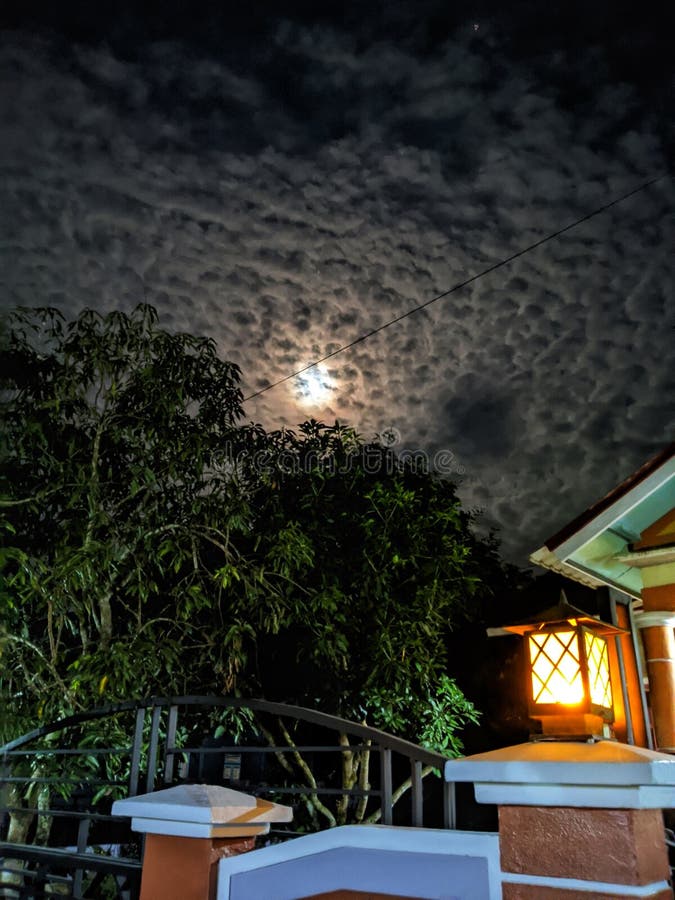 The Bright Moonlight Can Make the Heart Calm Stock Photo - Image of ...