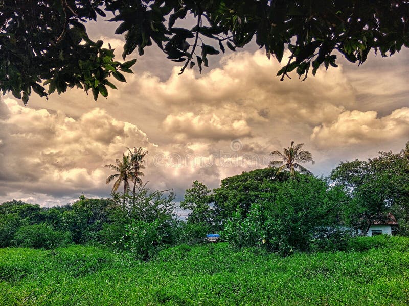 Bright Morning and Happy Activities Stock Photo - Image of give ...