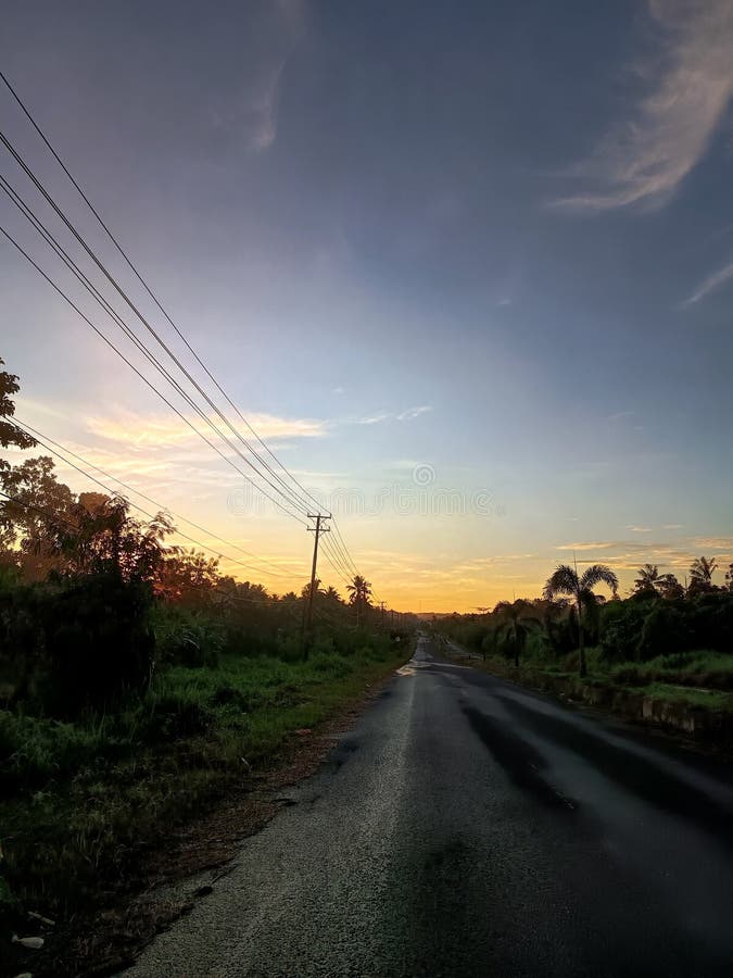 Bright Morning Nature Papua Stock Image - Image of nature, morning ...