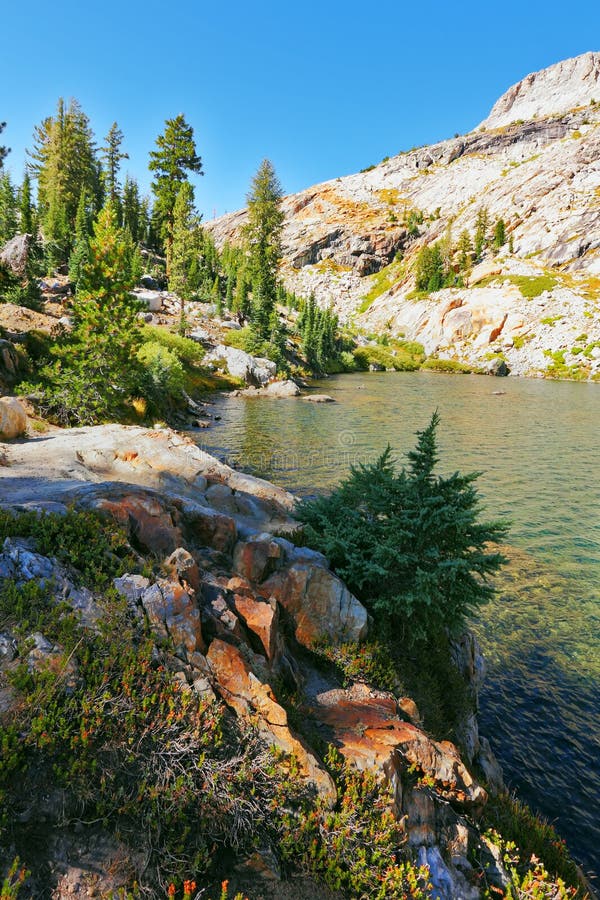 The bright morning sun stock photo. Image of nature, extreme - 11763206