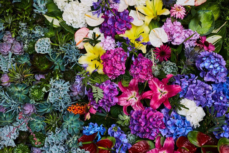 Bright Multi-colored Flowers in the Flowerbed. Farm Exhibition Stock ...