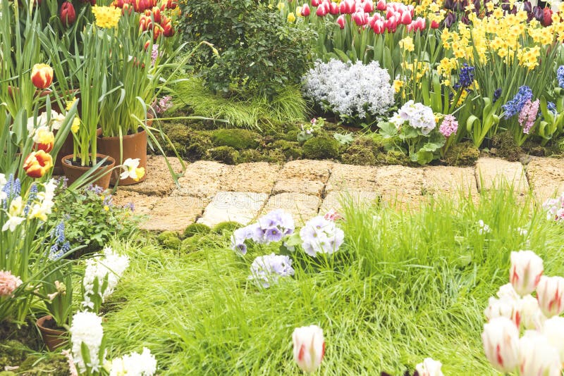 Bright Multi-colored Flowers in the Garden, Different Varieties of ...