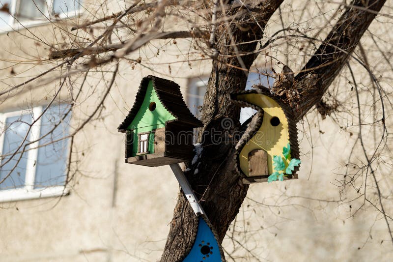Bright Multi-colored House for Birds Hanging on a Tree Stock Image ...