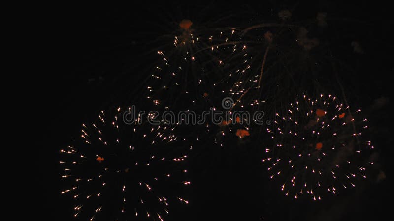 Bright Multi-colored Sparks in the Form of Firework Flowers on a Black ...