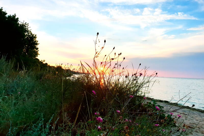 Bright Multi-colored Sunset with Yellow Sun Above the Surface of the ...