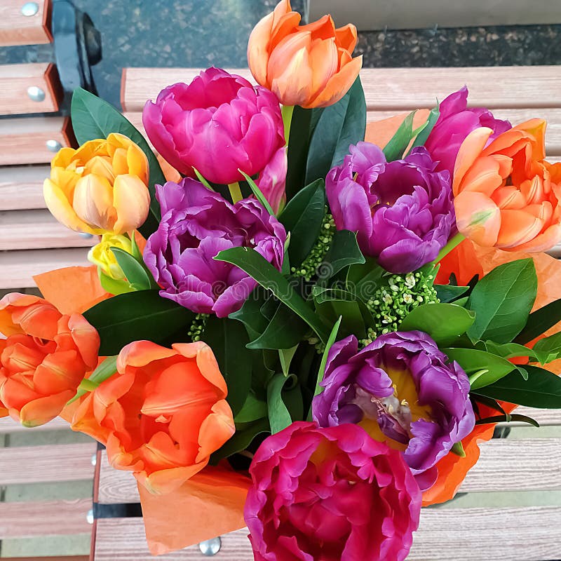Bright Multi-colored Tulips Close-up. Spring Concept Stock Photo ...