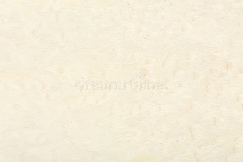 Bright Natural Maple Wood Design Texture on Macro. Stock Image - Image ...