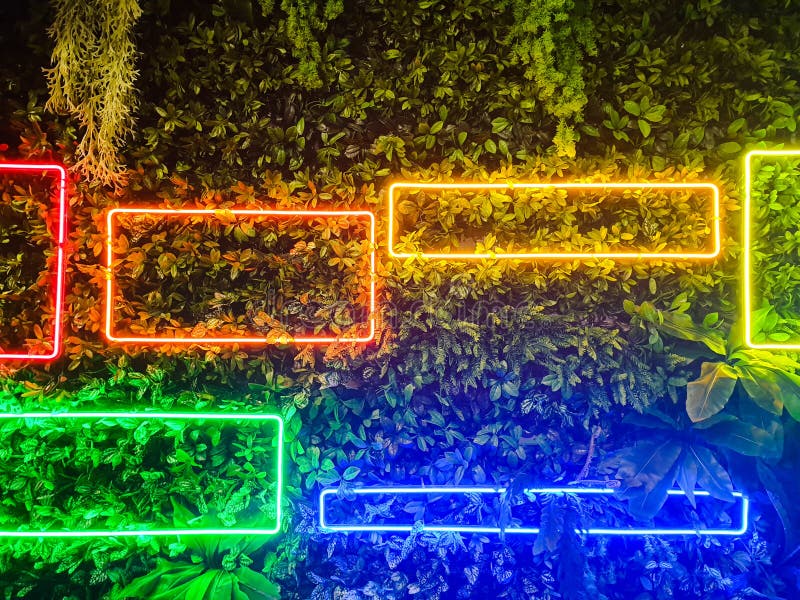 Bright Neon Light and Green Grass Background Stock Image - Image of ...