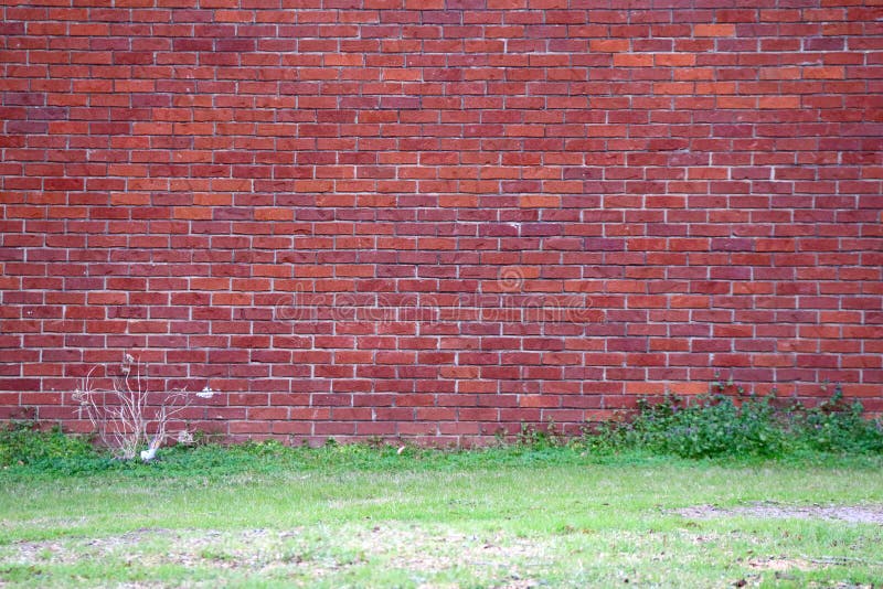 Bright Old Red Brick Garden Path Wall Grass Stock Image - Image of ...