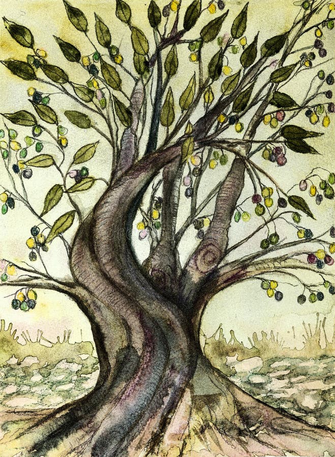 Bright Olive Tree in Autumn. Stock Illustration - Illustration of ...