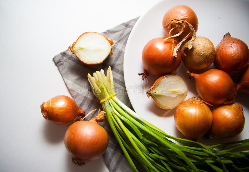 Bright onion roots stock image. Image of health, liver - 65169151
