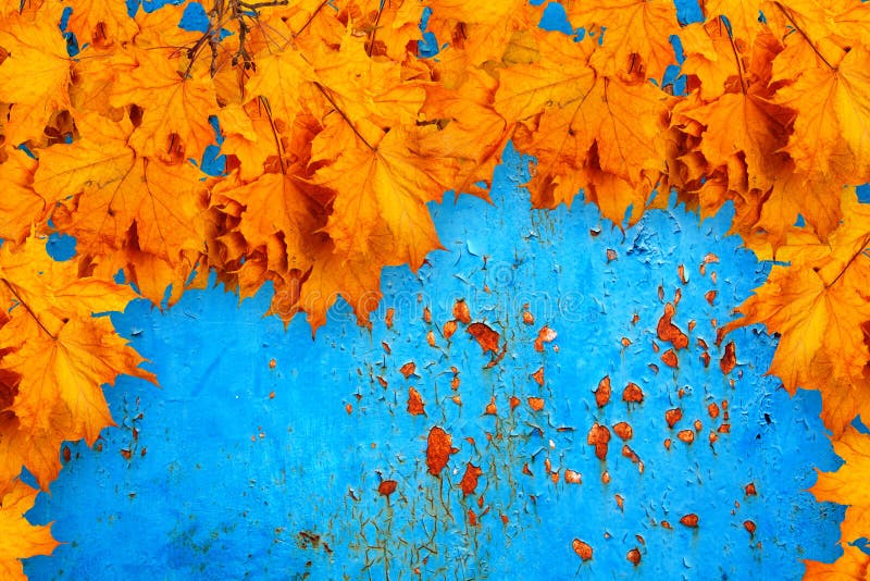 Bright Orange Autumn Leaves on the Background of Rusty Wal Stock Image ...