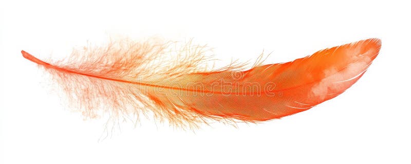 A Bright Orange Feather with Fine Details and Subtle Textures, Floating ...