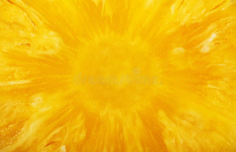 Bright Orange Longitudinal Section of Fruit of Persimmon Stock Image ...