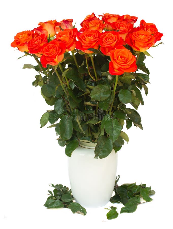 Bright Orange Roses in Vase Stock Image - Image of celebration, group ...