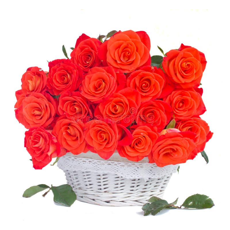 Bright Orange Roses in Vase Stock Image - Image of celebration, group ...