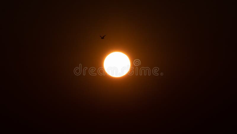 Bright Orange Sun in the Sky during Sunset Stock Photo - Image of light ...