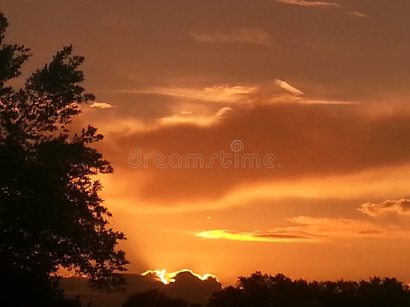 Bright Orange Sunset Trees Art Stock Photo - Image of orange, sunset ...