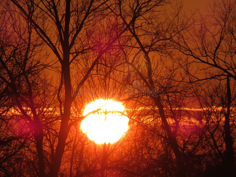 Bright Orange Sunset and Trees in December Stock Photo - Image of ...