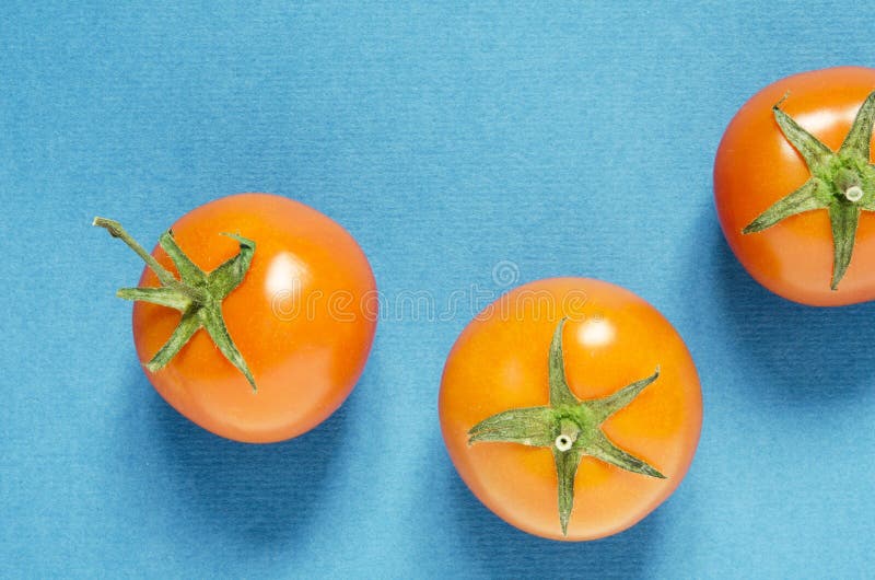Bright Organic Tomatoes on a Blue Background. Stock Image - Image of ...