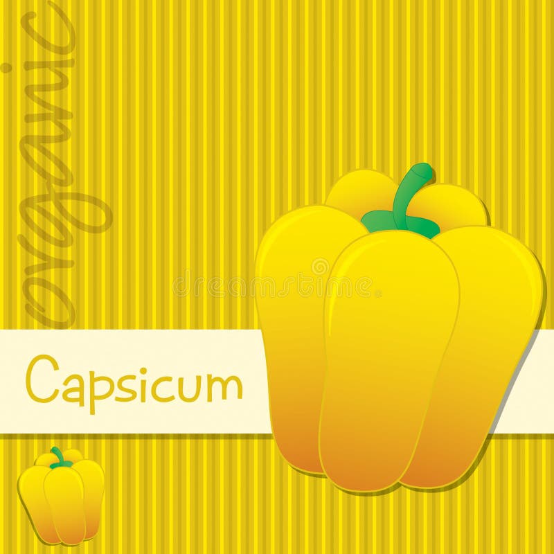 Yellow Capsicum Cover Layout Stock Illustration - Illustration of cover ...