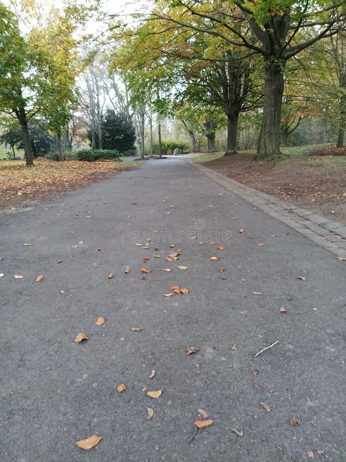 Bright path in park wide stock photo. Image of rock - 201599376