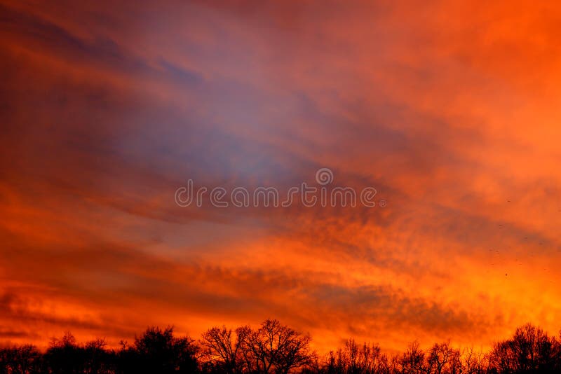 Bright Photo of Red Sunset in the Spring in the Park Stock Image ...