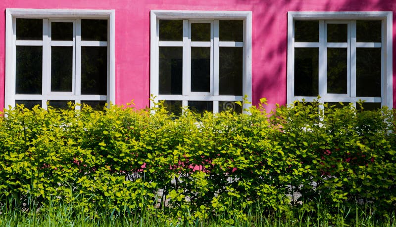 A Bright Pink Building with Large Windows Surrounded by Bright Green ...