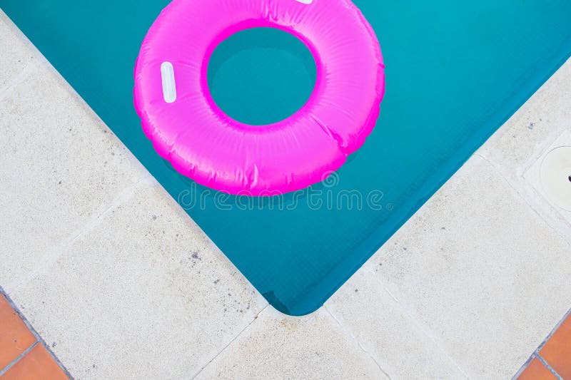 Dog on Pink Float in Swimming Pool Stock Photo - Image of float, animal ...