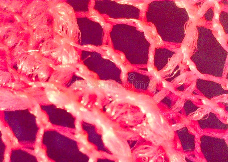 Bright Pink Pattern, Fragment of Fabric, Textile. Image Under the ...