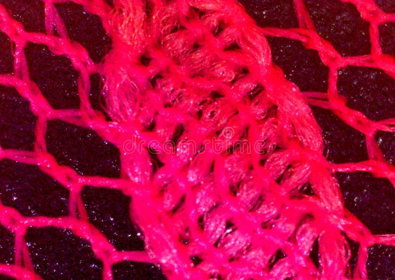 Bright Pink Pattern, Fragment of Fabric, Textile. Image Under the ...