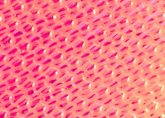 Bright Pink Pattern, Fragment of Fabric, Textile. Image Under the ...