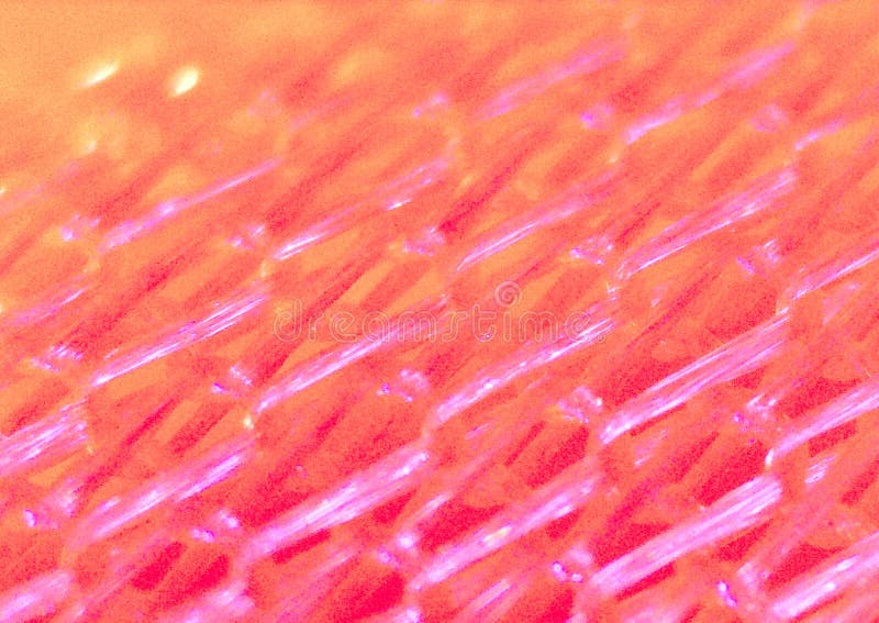 Bright Pink Pattern, Fragment of Fabric, Textile. Image Under the ...