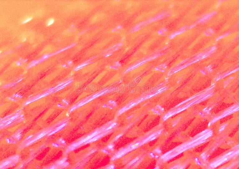 Bright Pink Pattern, Fragment of Fabric, Textile. Image Under the ...