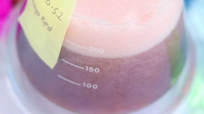 Bright Process of Neutralization of Formic Acid with Soda. the Color of ...