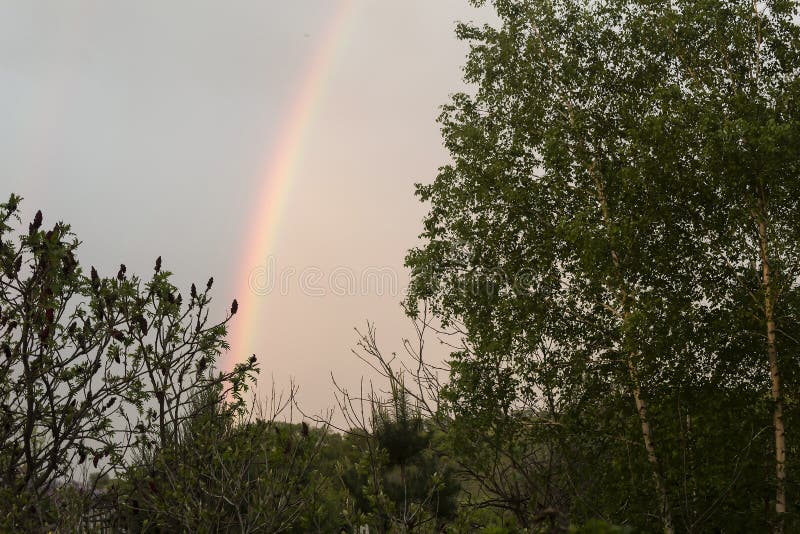 Rainbow Appeared after Heavy Rain Stock Image - Image of field, horizon ...