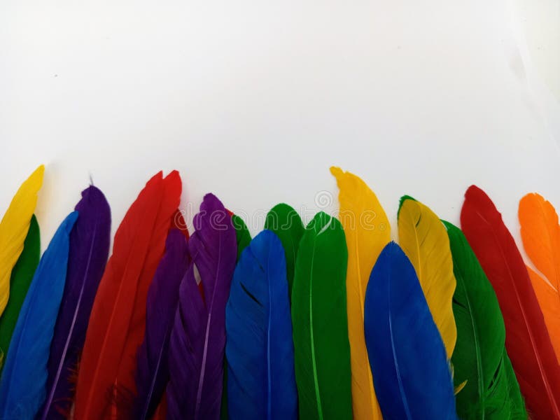 Rainbow Feathers Shaped in Different Colours Stock Photo - Image of ...