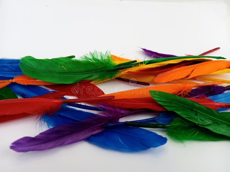 Rainbow Feathers Shaped in Different Colours Stock Photo - Image of ...