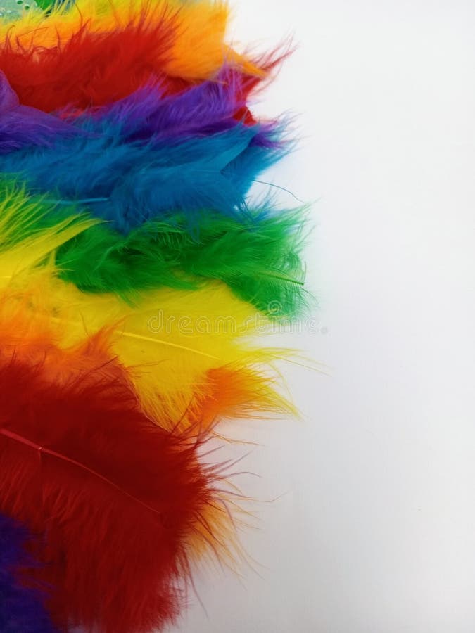 Rainbow Feathers Shaped in Different Colours Stock Photo - Image of ...