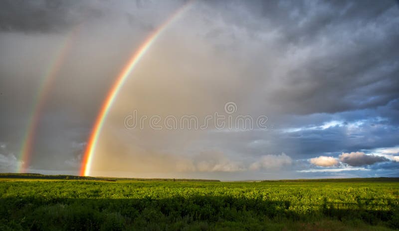 Bright Rainbow after the Rain Over the Field Stock Photo - Image of ...