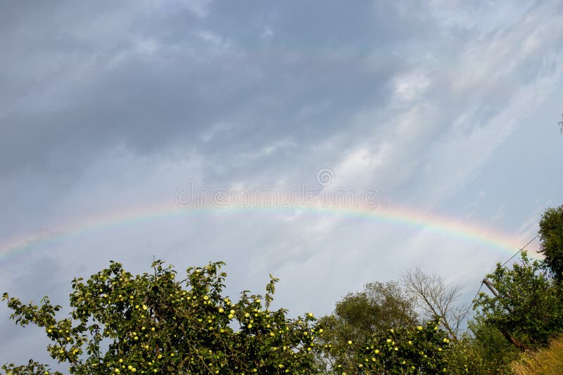 Bright Rainbow in the Summer Over the Apple Orchard Stock Photo - Image ...