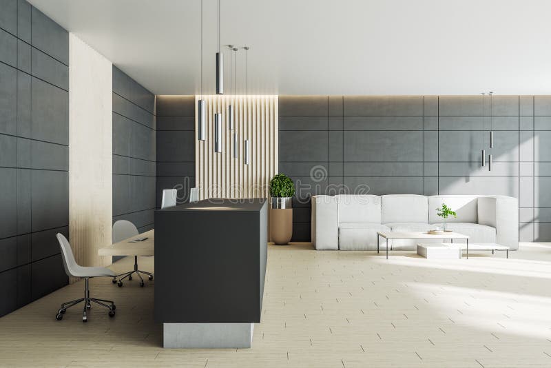 Bright Reception Area with Computers and Waiting Sofa Stock ...