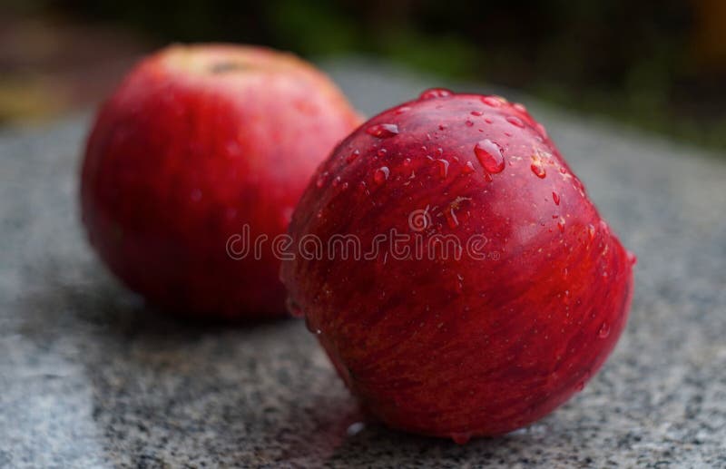 Bright red apple stock image. Image of vegetarian, plant - 297402153
