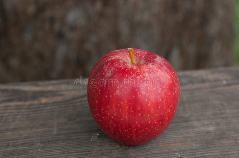 Bright red apple stock photo. Image of fresh, object - 78276806