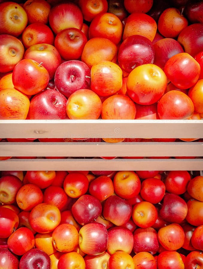 Bright Red Apples in Storage Box Stock Image - Image of delicious ...