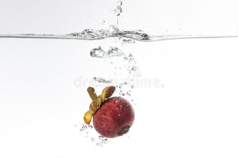 Bright Red Berry Splashing in the Water Stock Photo - Image of fresh ...