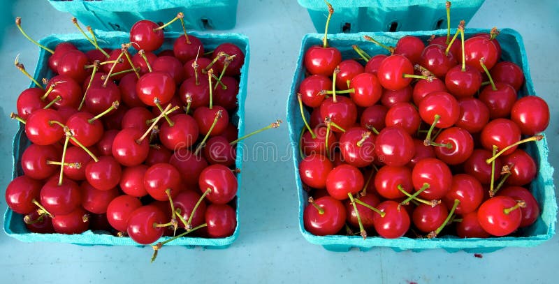 Bright Red Cherries stock image. Image of macro, fresh - 14899165