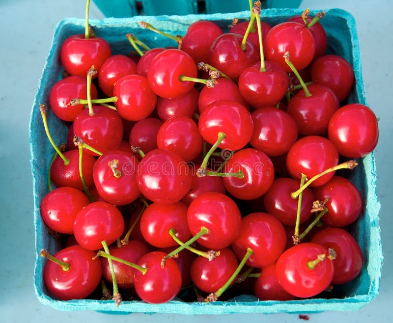 Bright Red Cherries stock photo. Image of sweet, organic - 14899170